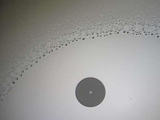 Halo Effect on Fiber Optic End Faces: Cause and Prevention